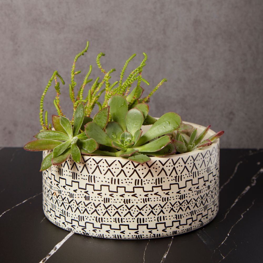 Natural Stone Pots – Artisan Variety